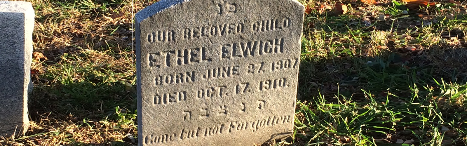 Hebrew Free Burial Association | Supporting the Jewish Community